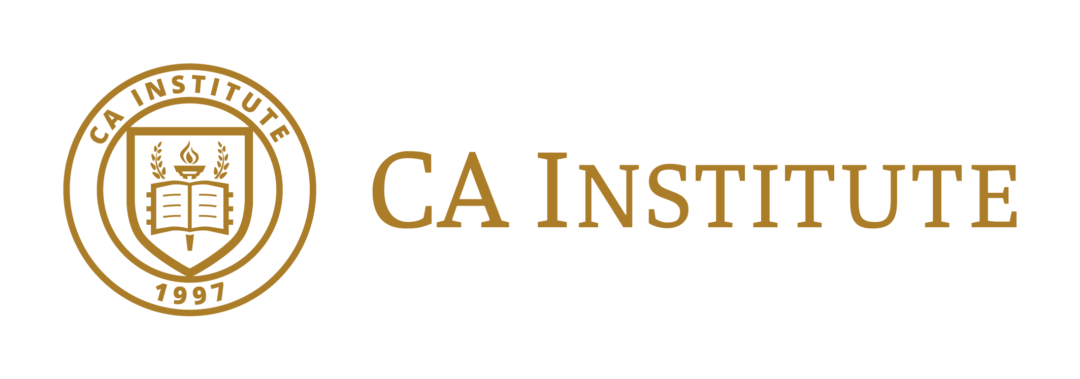 CA Institute | A Top Educational Institute in Brno, Czech Republic